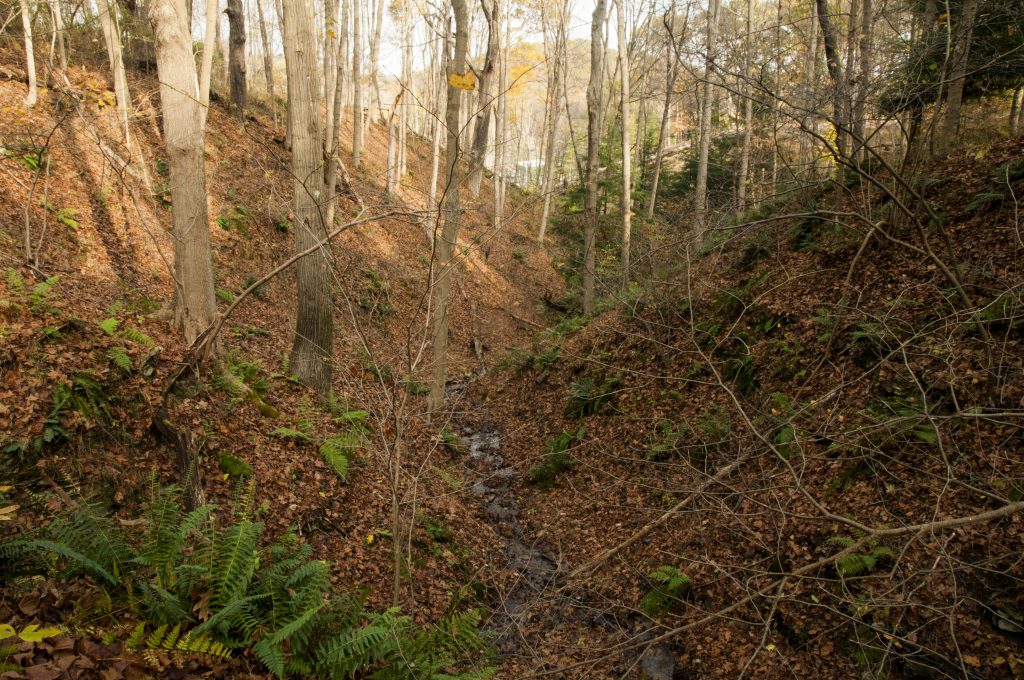 Linbrook Woodlands - Allegheny Land Trust