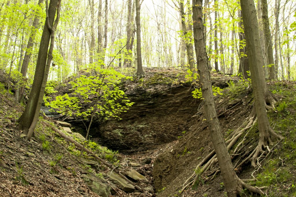 Mosside Slopes - Allegheny Land Trust